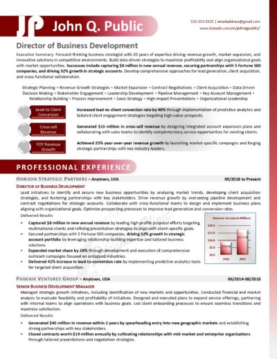 Dir. of Business Development | The Résumé Clinic